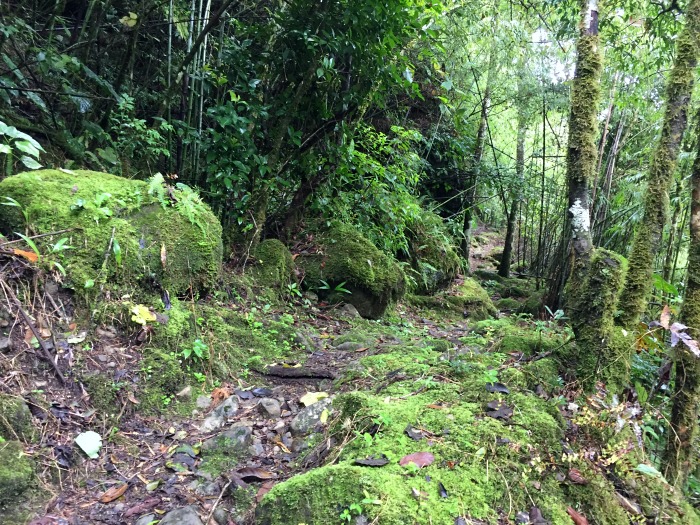 Average Walking Speed by Age (and Gender): Are You Faster or Slower ...