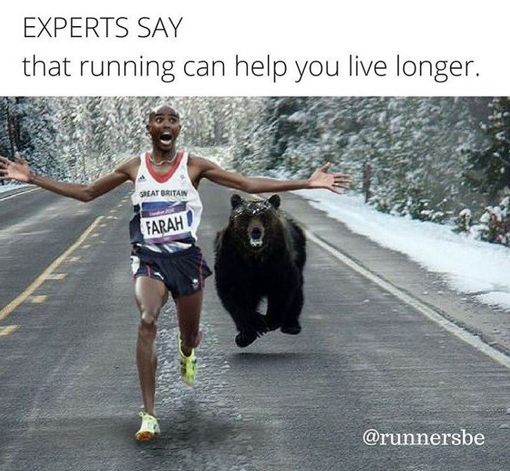 17 Funniest Running Memes - Which One's Do You Relate To?