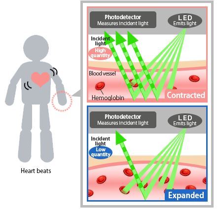 Running With a High Heart Rate: When To Worry - RunToTheFinish
