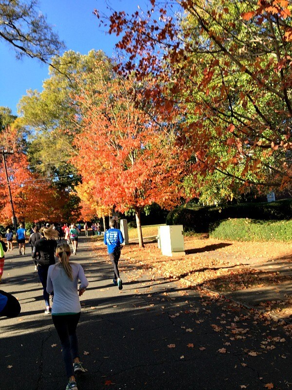11 Best Fall Marathons in the US for 2025 | RunToTheFinish