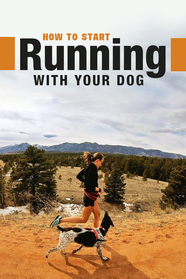 Running With Your Dog: 7 Must Do's and a Few Don'ts - RunToTheFinish
