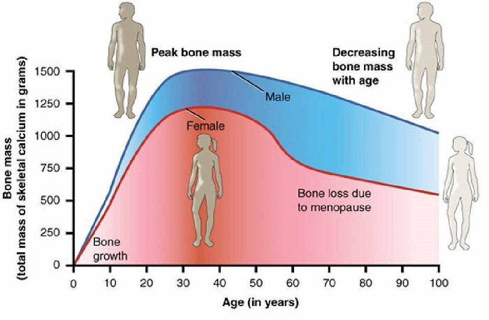 10 Ways Running Effects Your Body (Pros and Cons) - RunToTheFinish