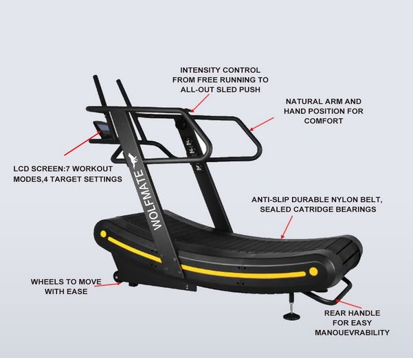 Are Curved Treadmills Better? And the Best Ones for 2025