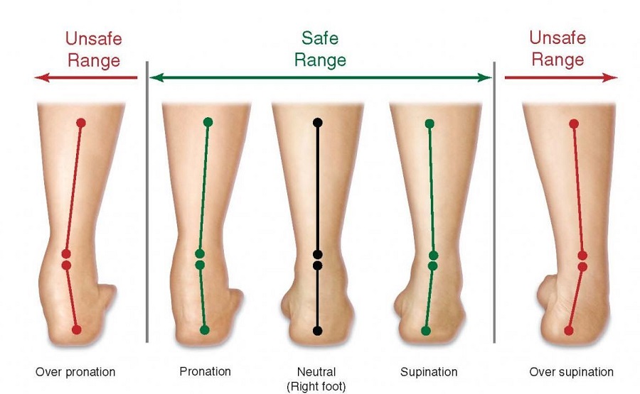Types of Running Shoes Explained: Choose the Right Shoe for Your Run