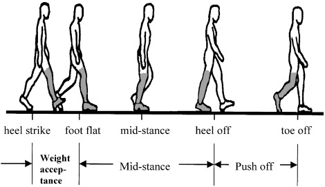 How Many Steps In a Mile Walking? Or Running?
