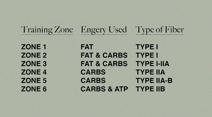 Zone 3 Training: Avoiding the Grey Zone - RunToTheFinish