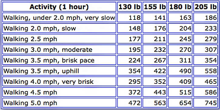 The Best Treadmill Walking Workouts for Every Fitness Level