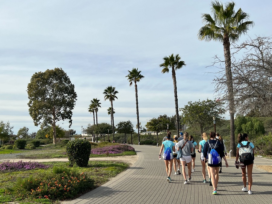 Walking 2 Miles a Day: Tips How to Get Started