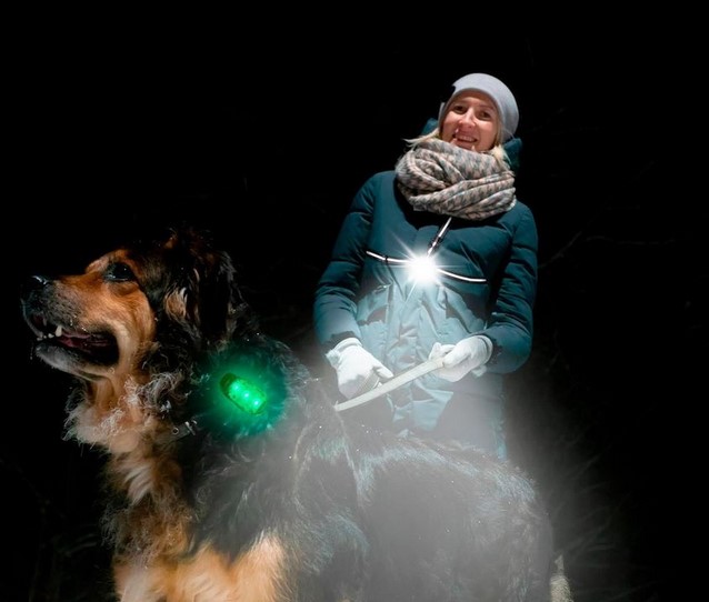 Best Running Lights 2026: Increase Visibility While Running