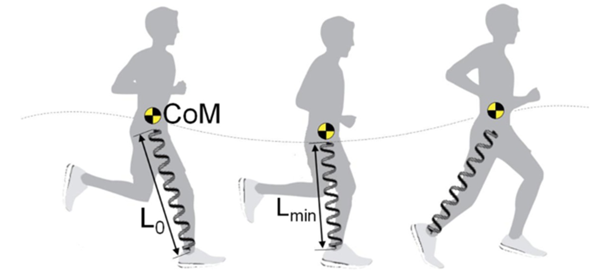 Are Max Cushioned Shoes Bad For Us? - RunToTheFinish