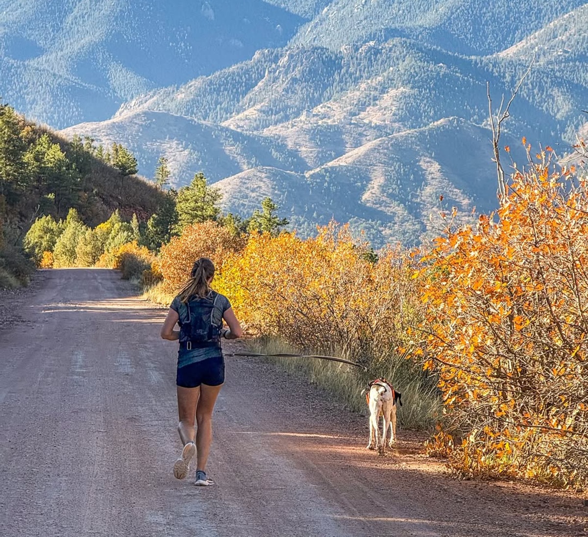 12 Week Marathon Training Plan (Download It Now!) - RunToTheFinish